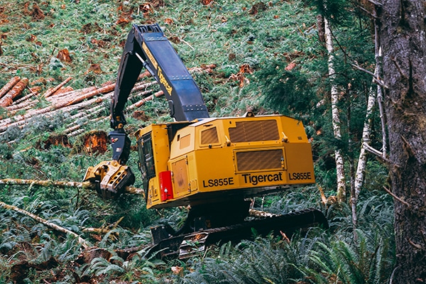 Tigercat Harvesters for Sale in British Columbia & the Yukon